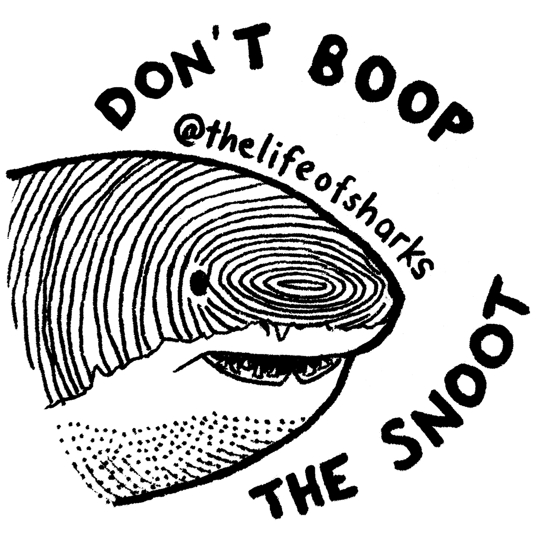 The Life of Sharks | WEBTOON