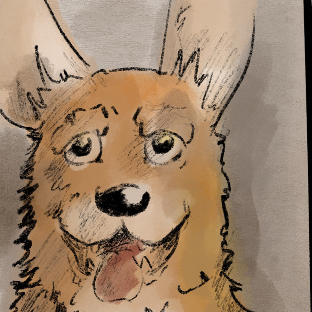 THE BOX: The Dog | WEBTOON