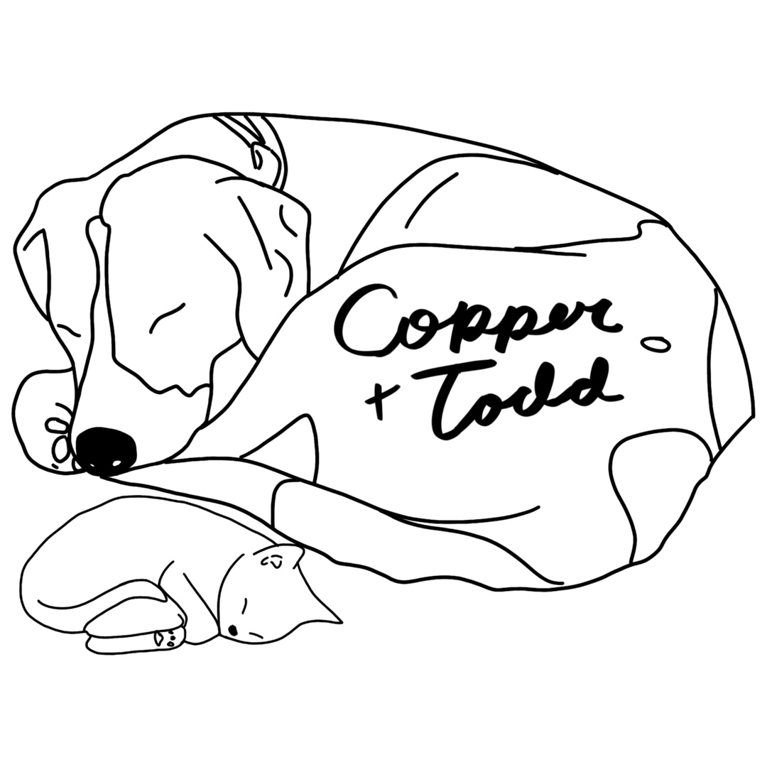 Copper and Todd | WEBTOON