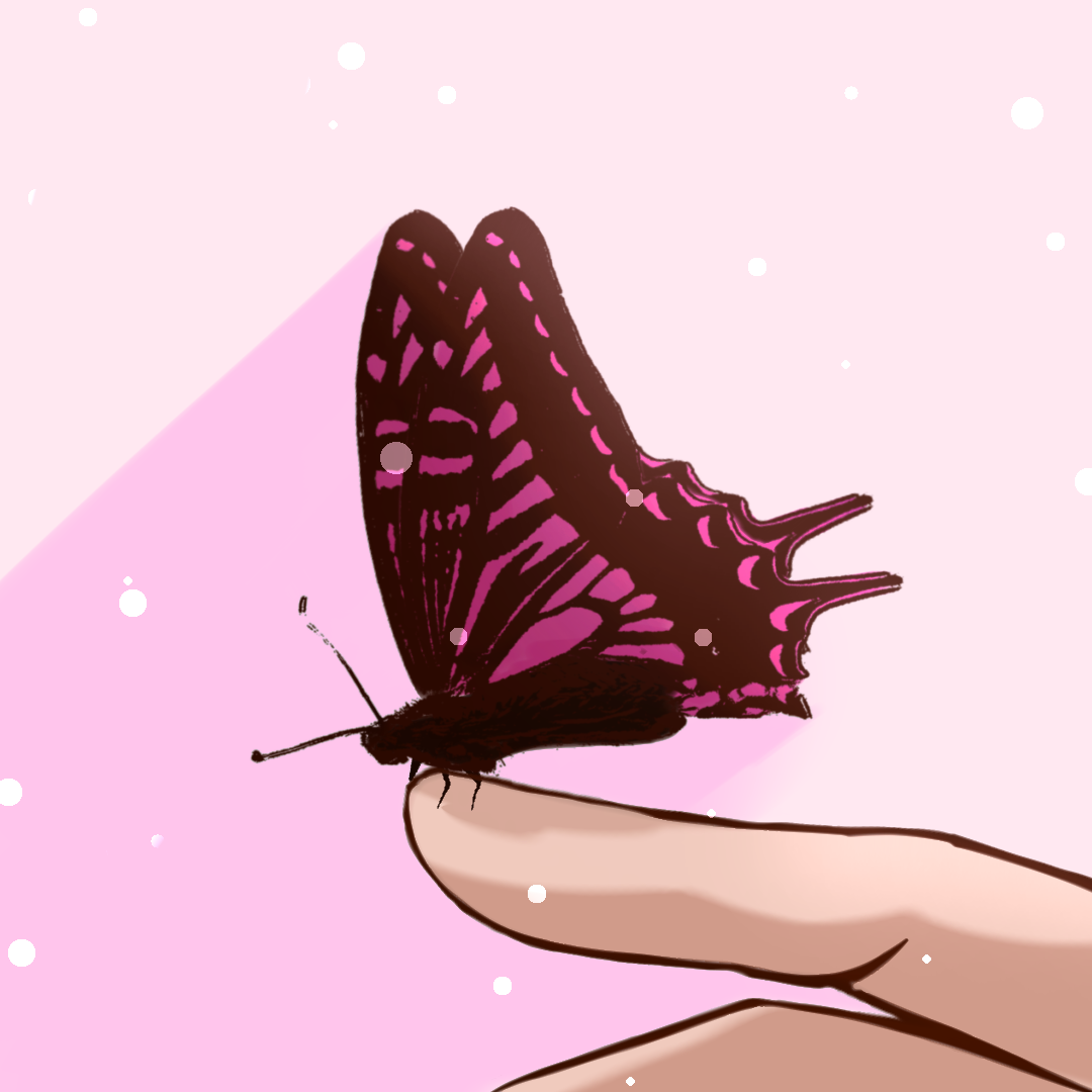 Pink butterfly | WEBTOON