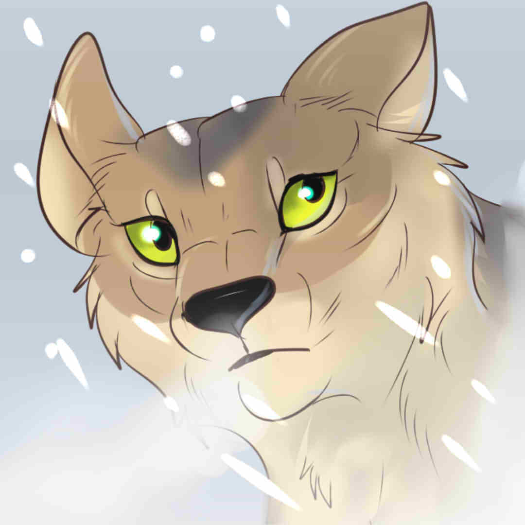 CoyWolf | WEBTOON