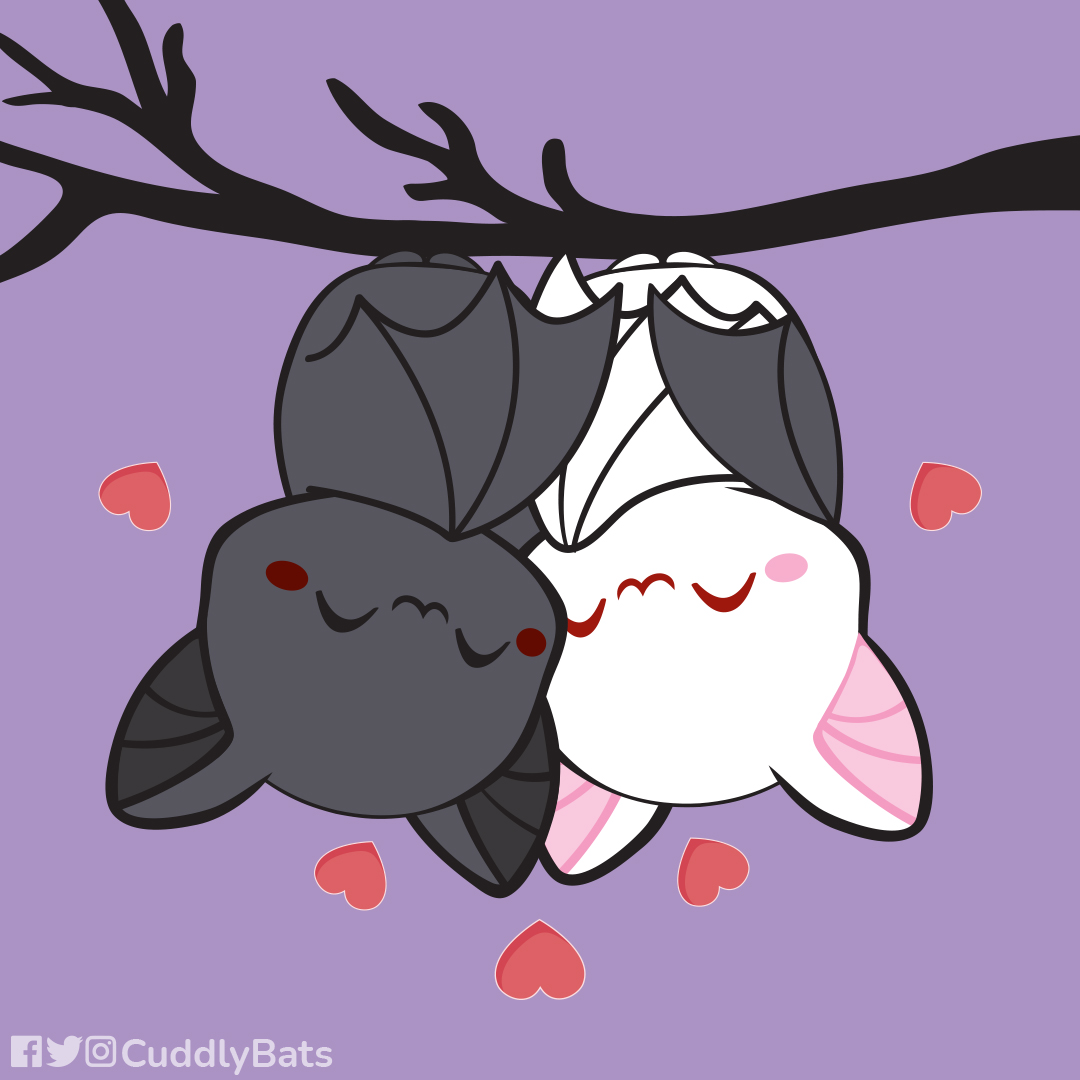 Cuddly Bats | WEBTOON