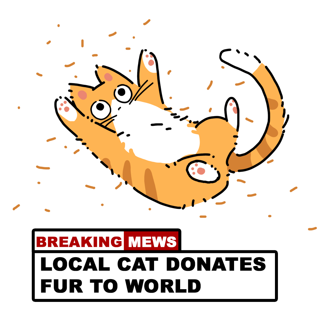 Cat News | WEBTOON
