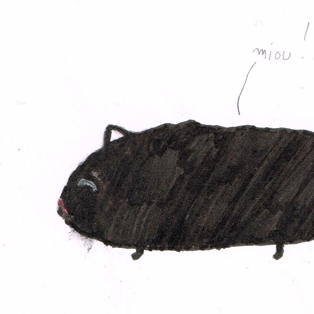 Le fabuleux destin de Souky le Chat Briviste | WEBTOON