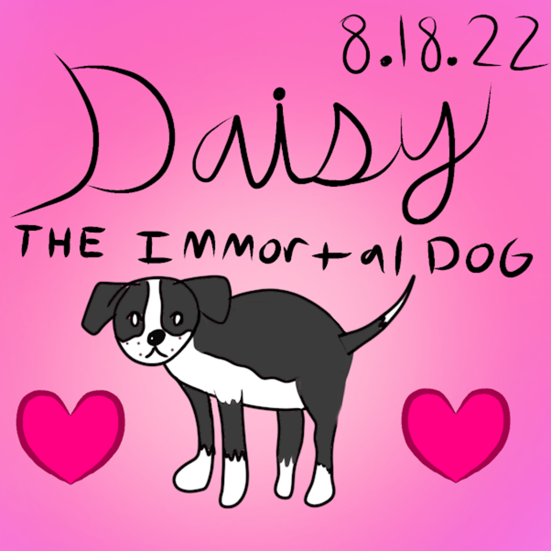 Daisy The Immortal Dog | WEBTOON