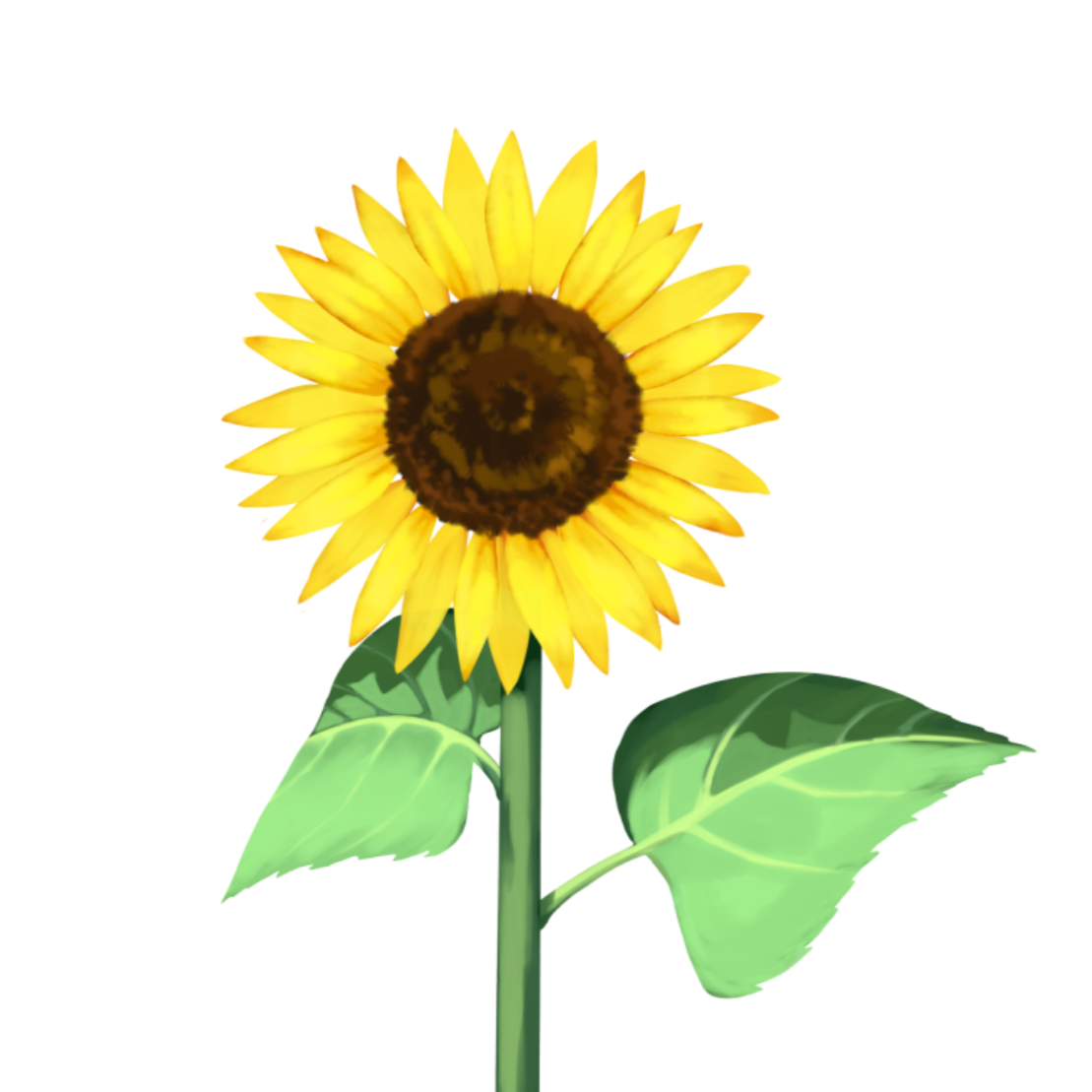 Test Webtoon Webtoon