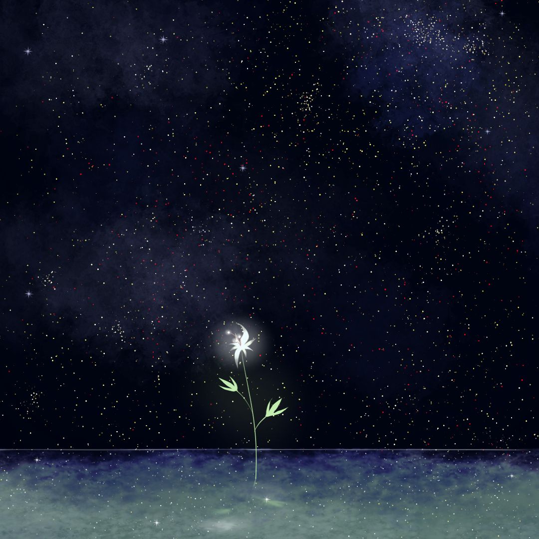 Astéri Somniorum Webtoon