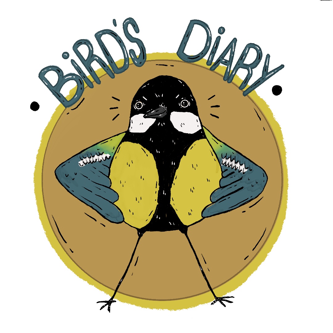 Bird’s Diary | WEBTOON