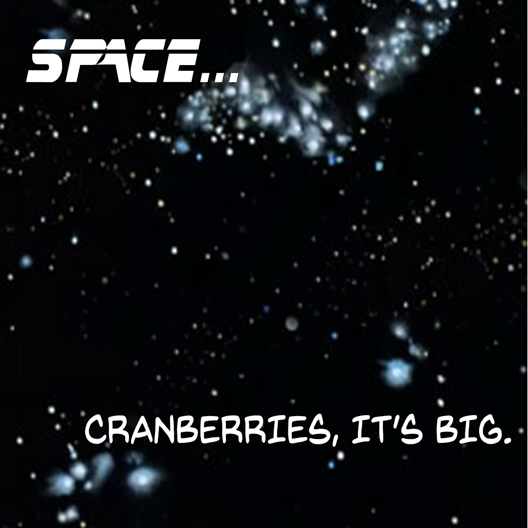 CRANIAL RECTAL INVERSION MANEUVER GAMBIT - 7 | SPACE BOAT