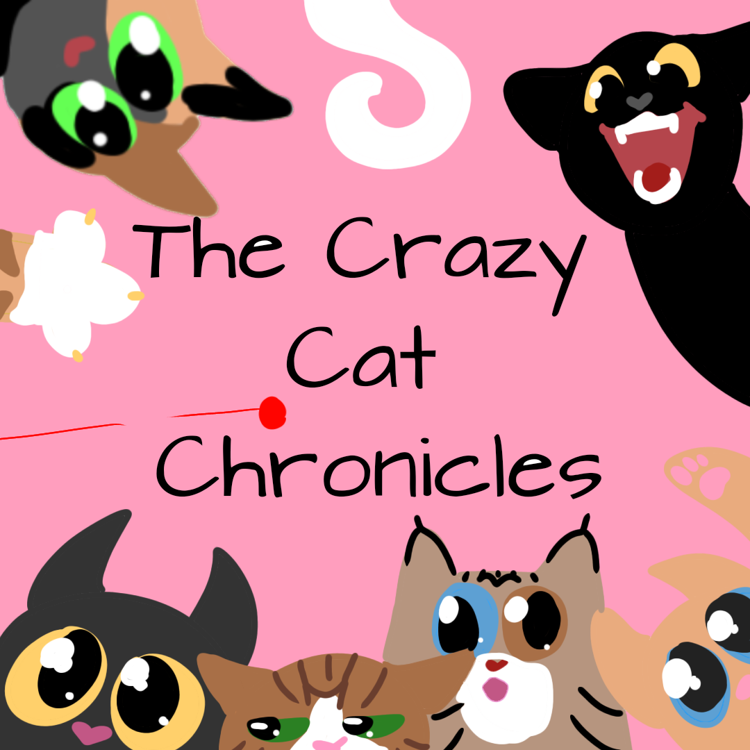 Crazy Cat Chronicles | WEBTOON
