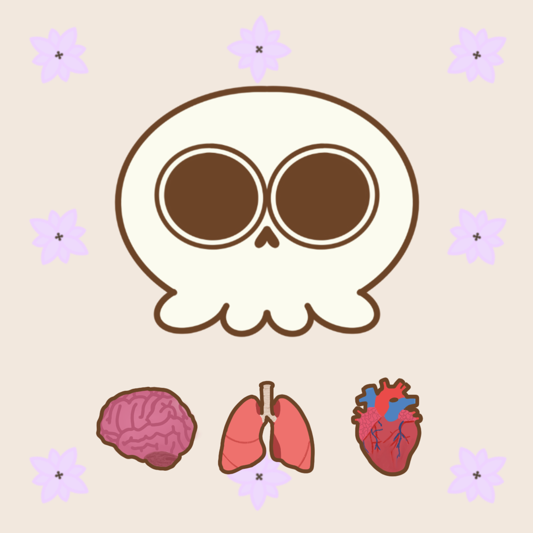 Your Anatomy Guide | WEBTOON