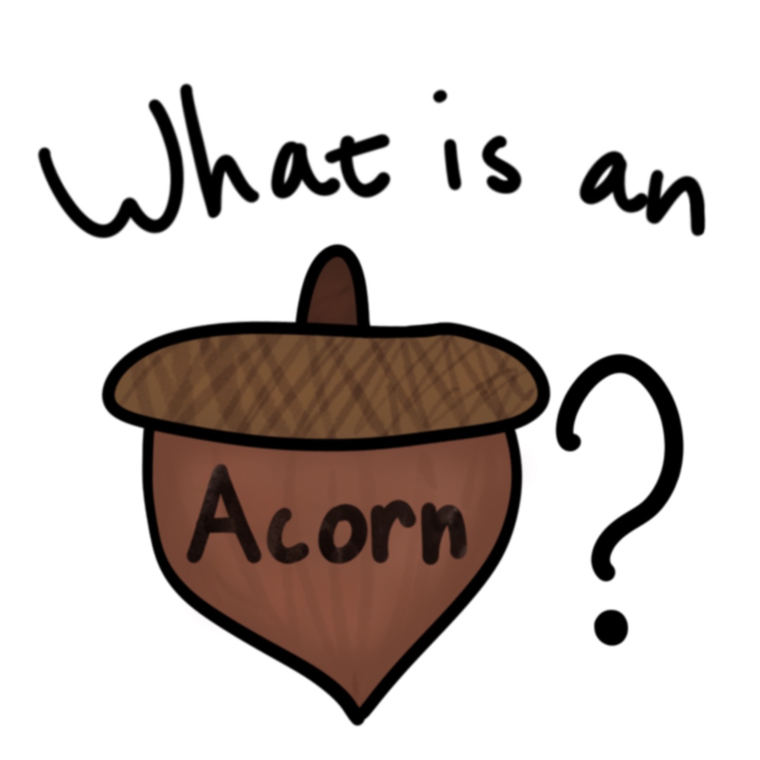What is an Acorn? | WEBTOON