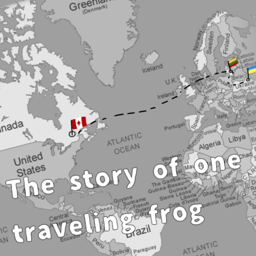 The story of one Traveling frog | WEBTOON