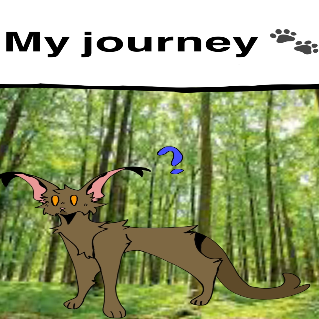 My journey | WEBTOON