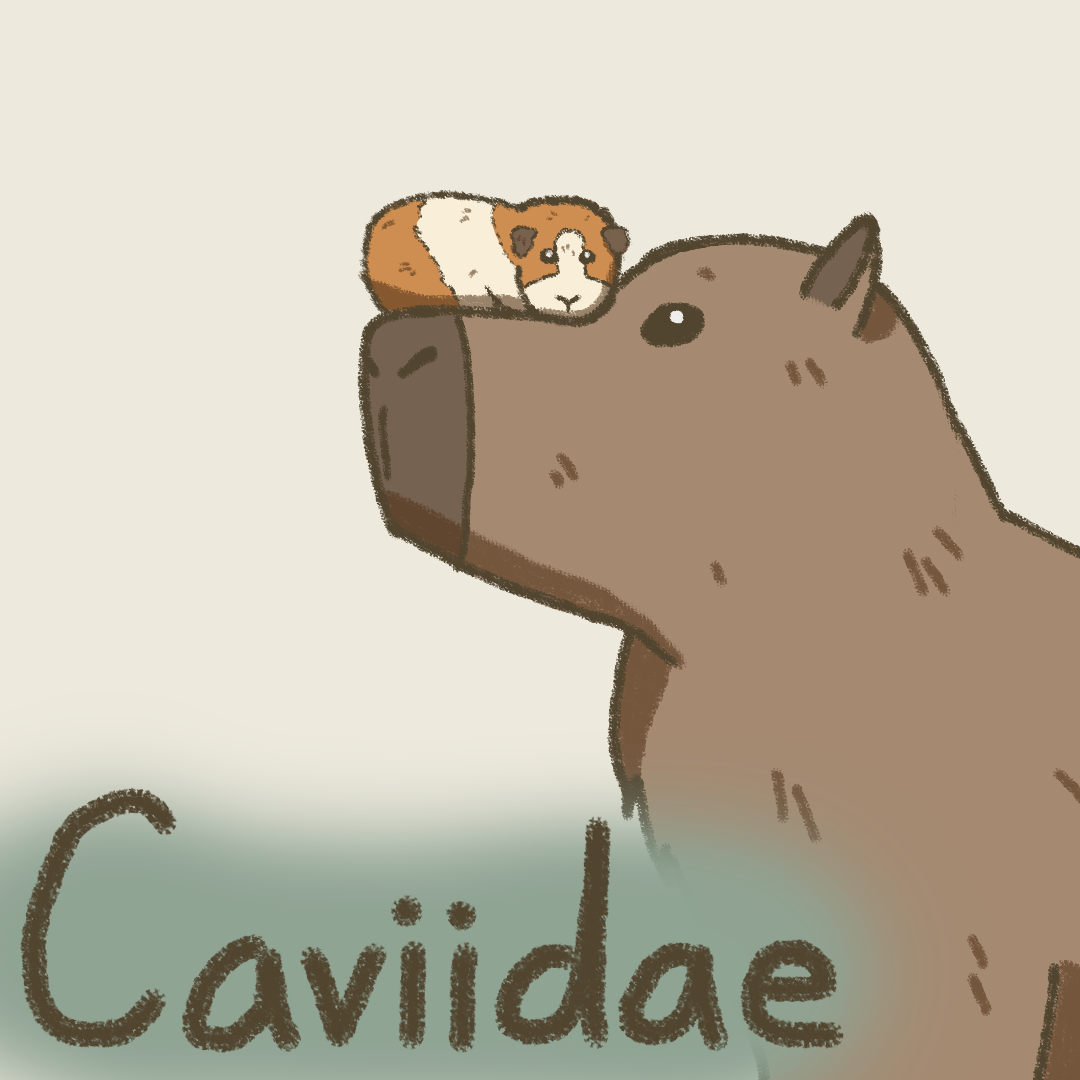 Caviidae | WEBTOON