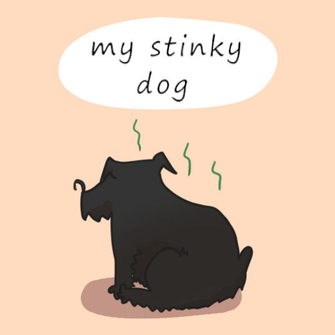 my stinky dog | WEBTOON