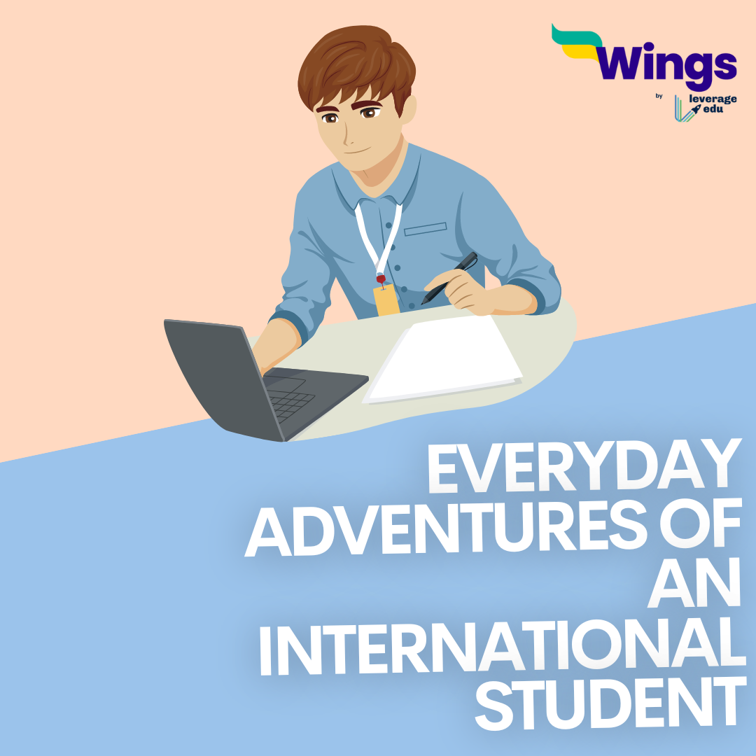 Everyday Adventures of an International Student | WEBTOON
