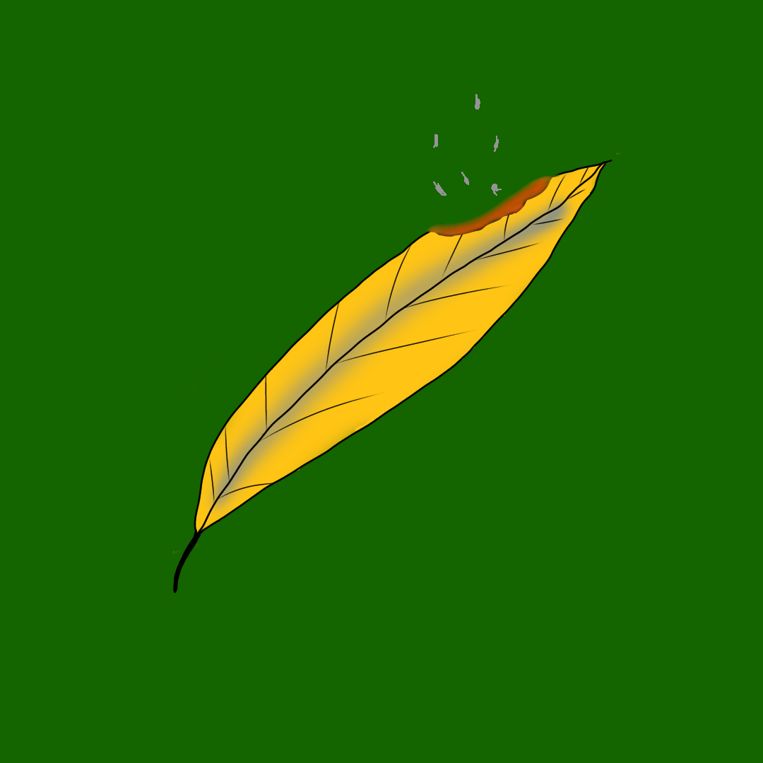 Falling Feather | WEBTOON