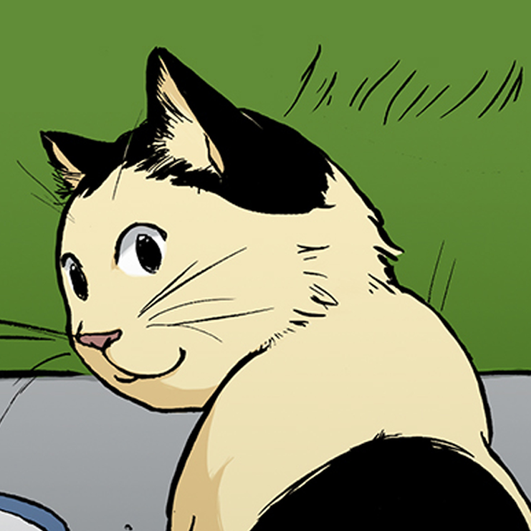 A Cat Named Tiffany | WEBTOON