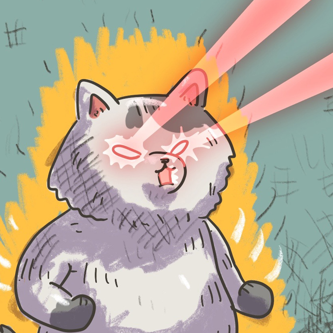 CAT IN PARALLEL UNIVERSE | WEBTOON