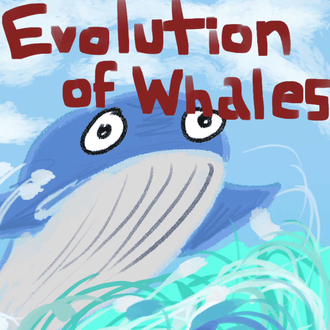 Evolution of Whales | WEBTOON