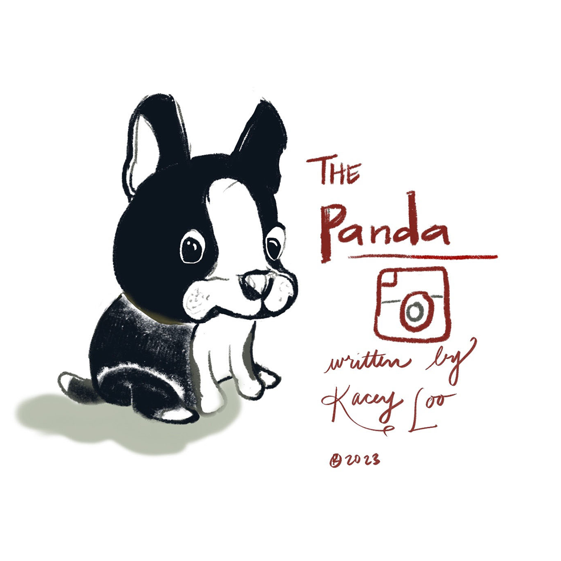 Meet Panda - 1 | The Panda
