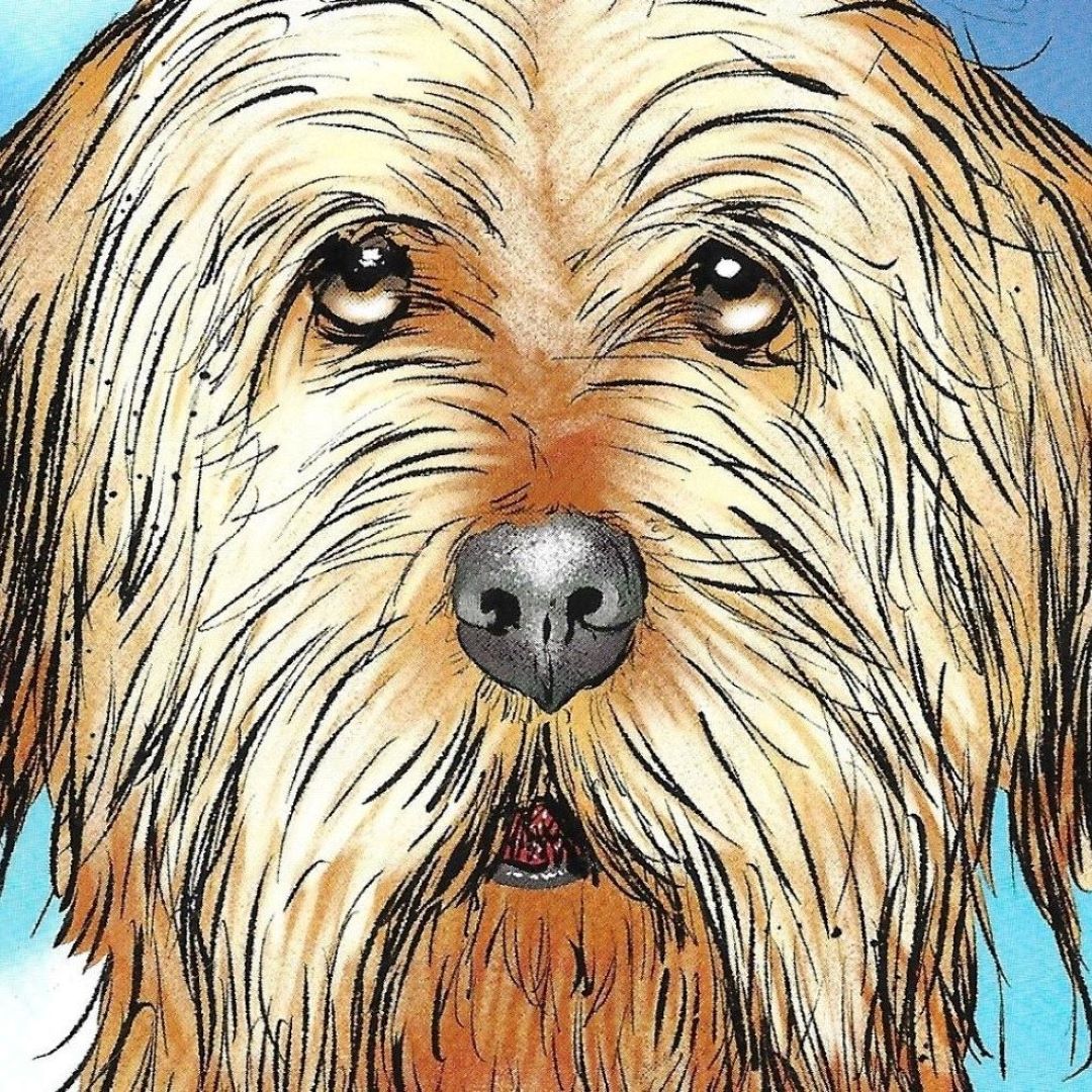 A Girl and Her Dog | WEBTOON