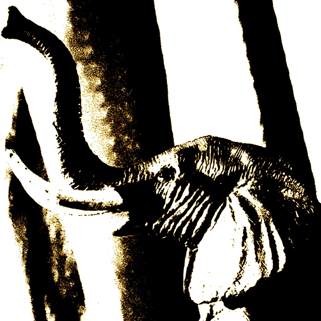 Some Normal Stuff | WEBTOON