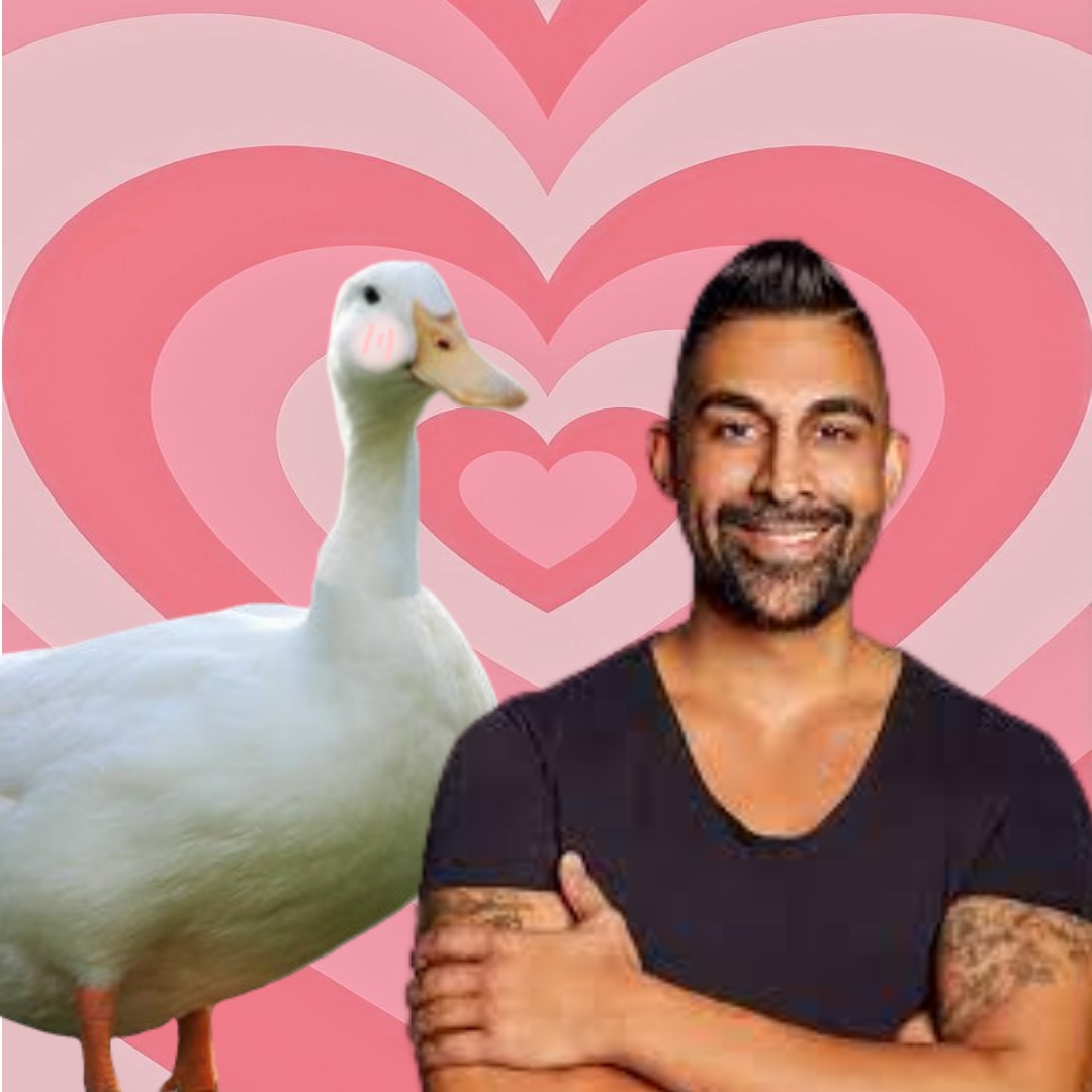 Dhar mann x Duck | WEBTOON