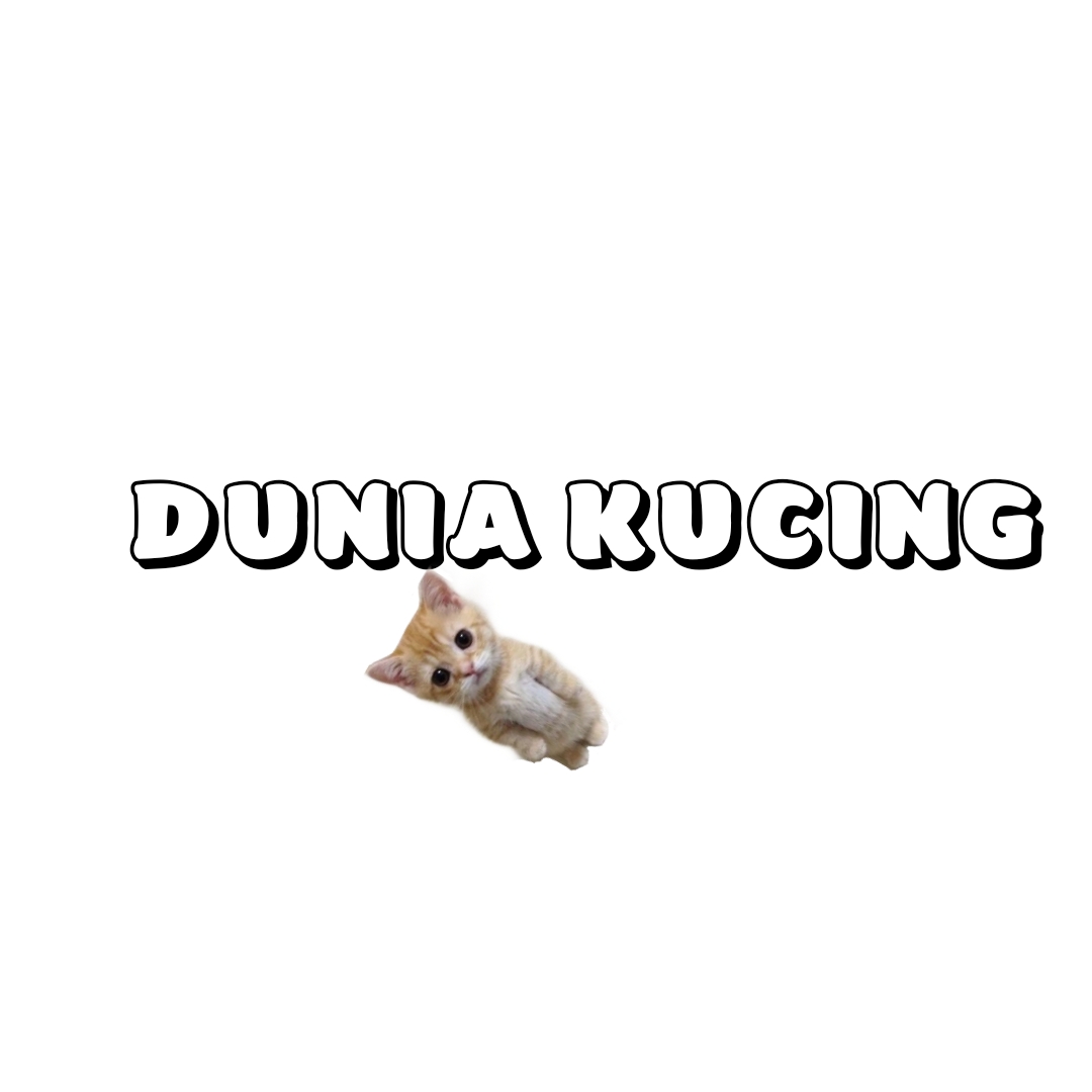 DUNIA KUCING | LINE WEBTOON