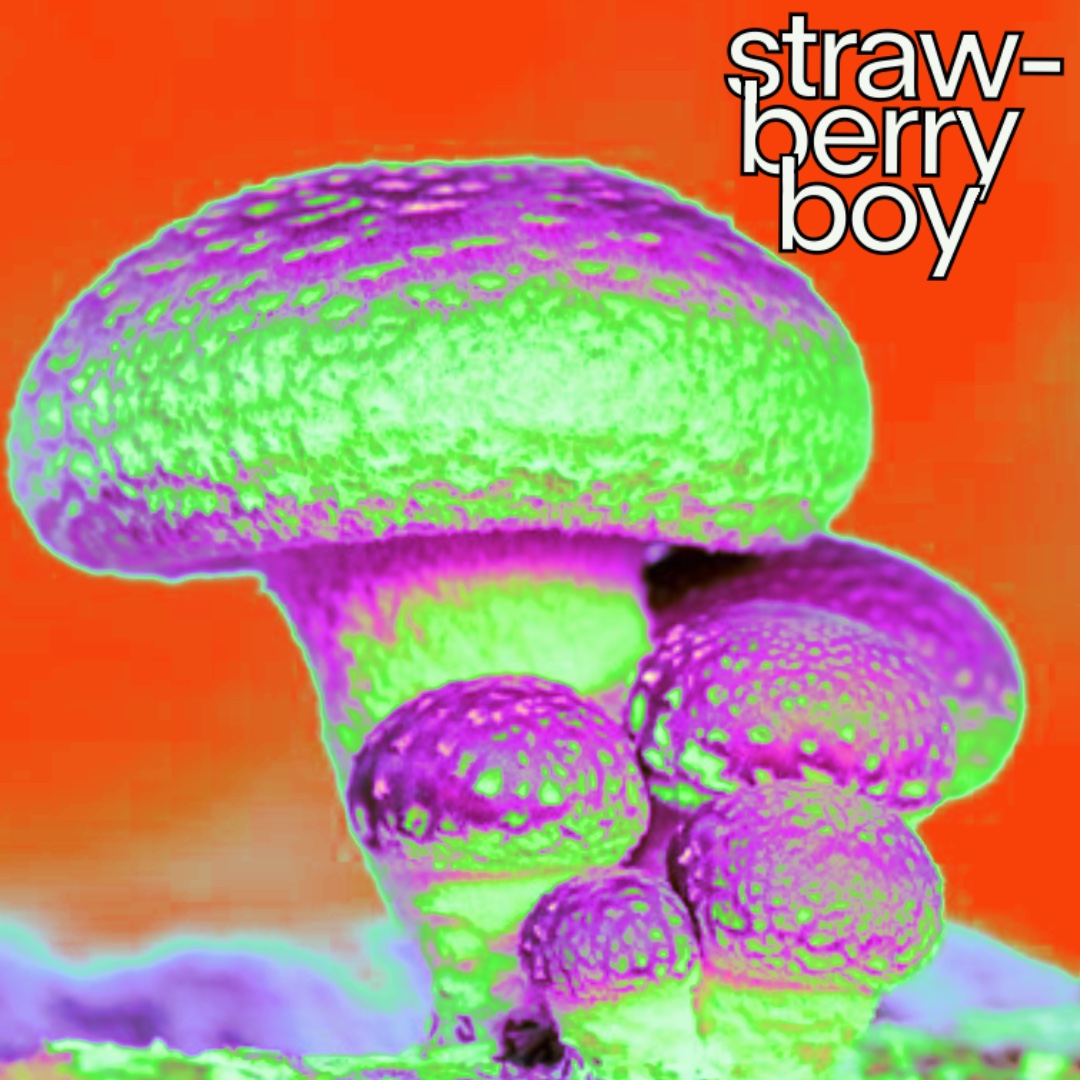 Strawberry Boy | WEBTOON