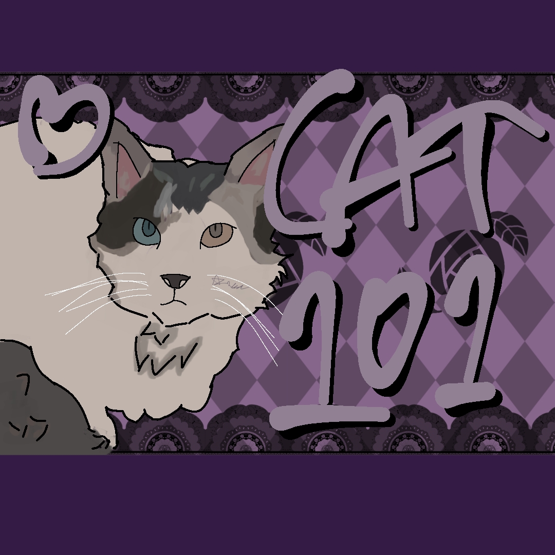 Cat 101 | WEBTOON