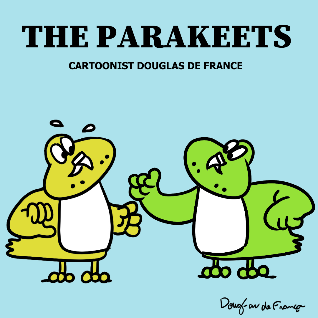 THE PARAKEETS | WEBTOON