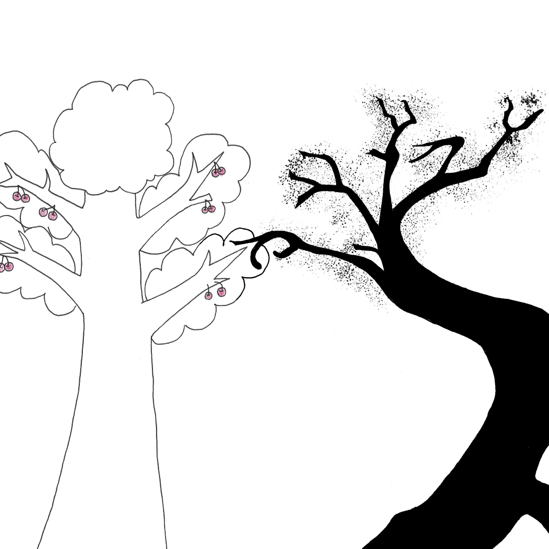 The Positive Trees and the Negative Trees | WEBTOON