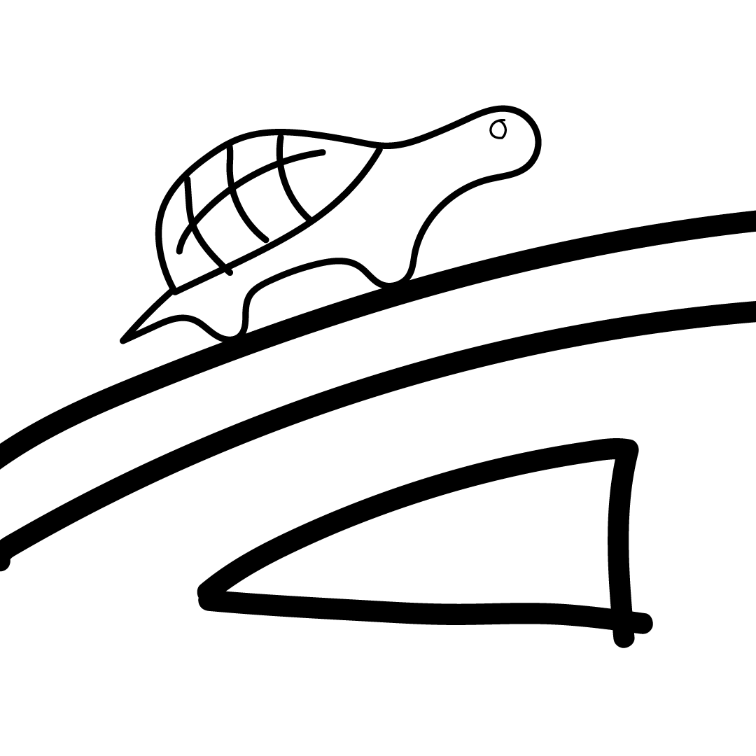 The Adventures of Mr. Turtle | WEBTOON