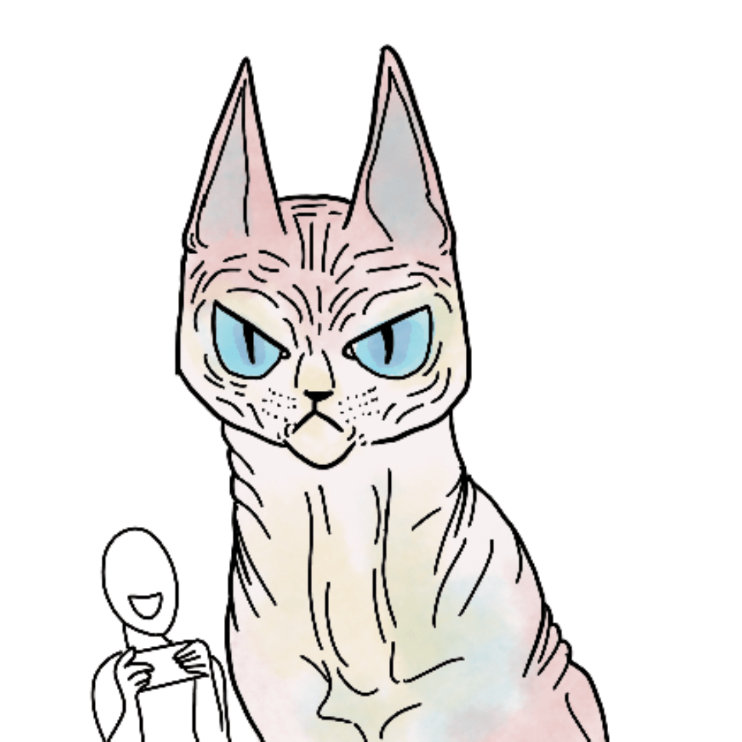 My pet Cat, Sphyns | WEBTOON