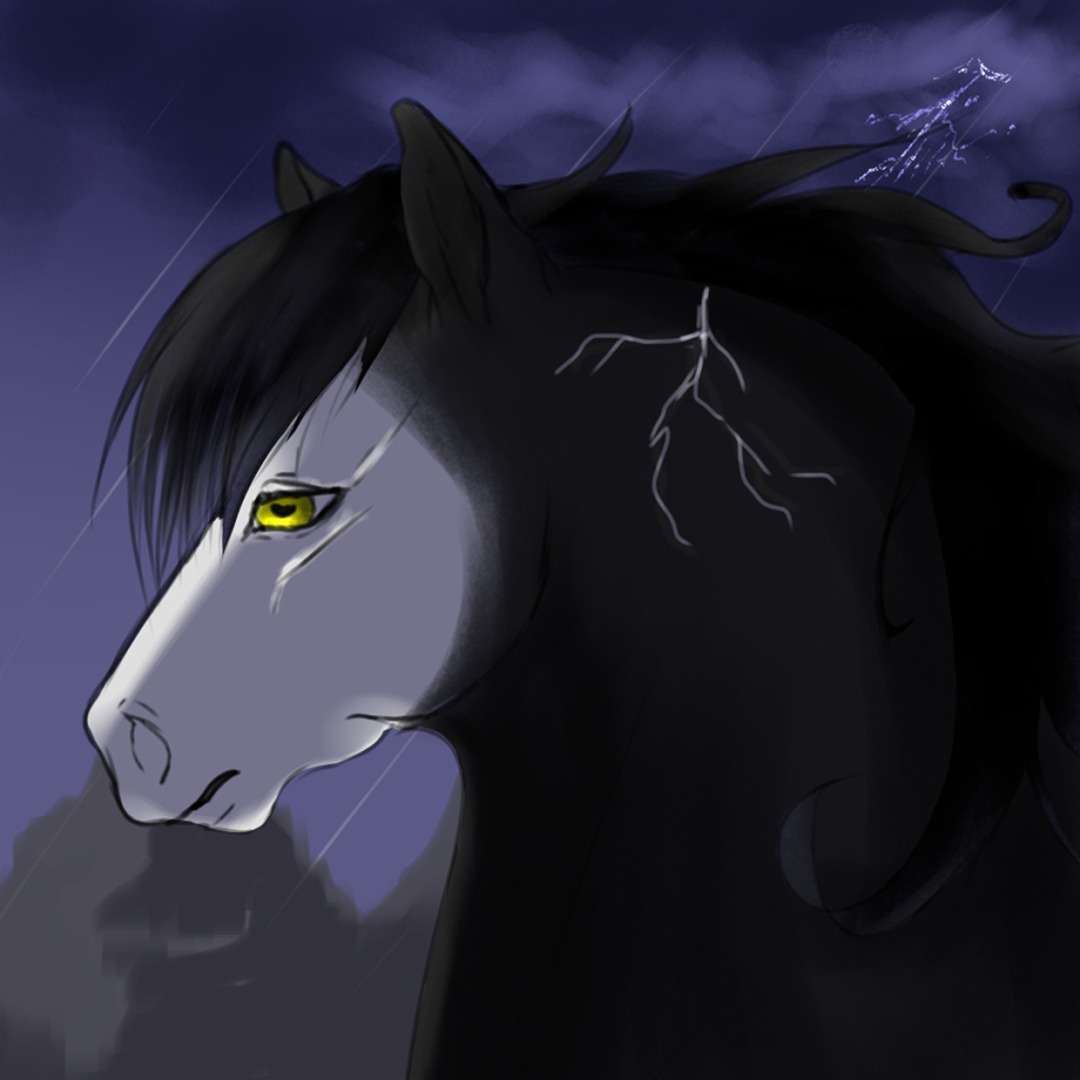 The darkness surrounds you (CHAPTER 1 END) - 12 | The Storm Curse