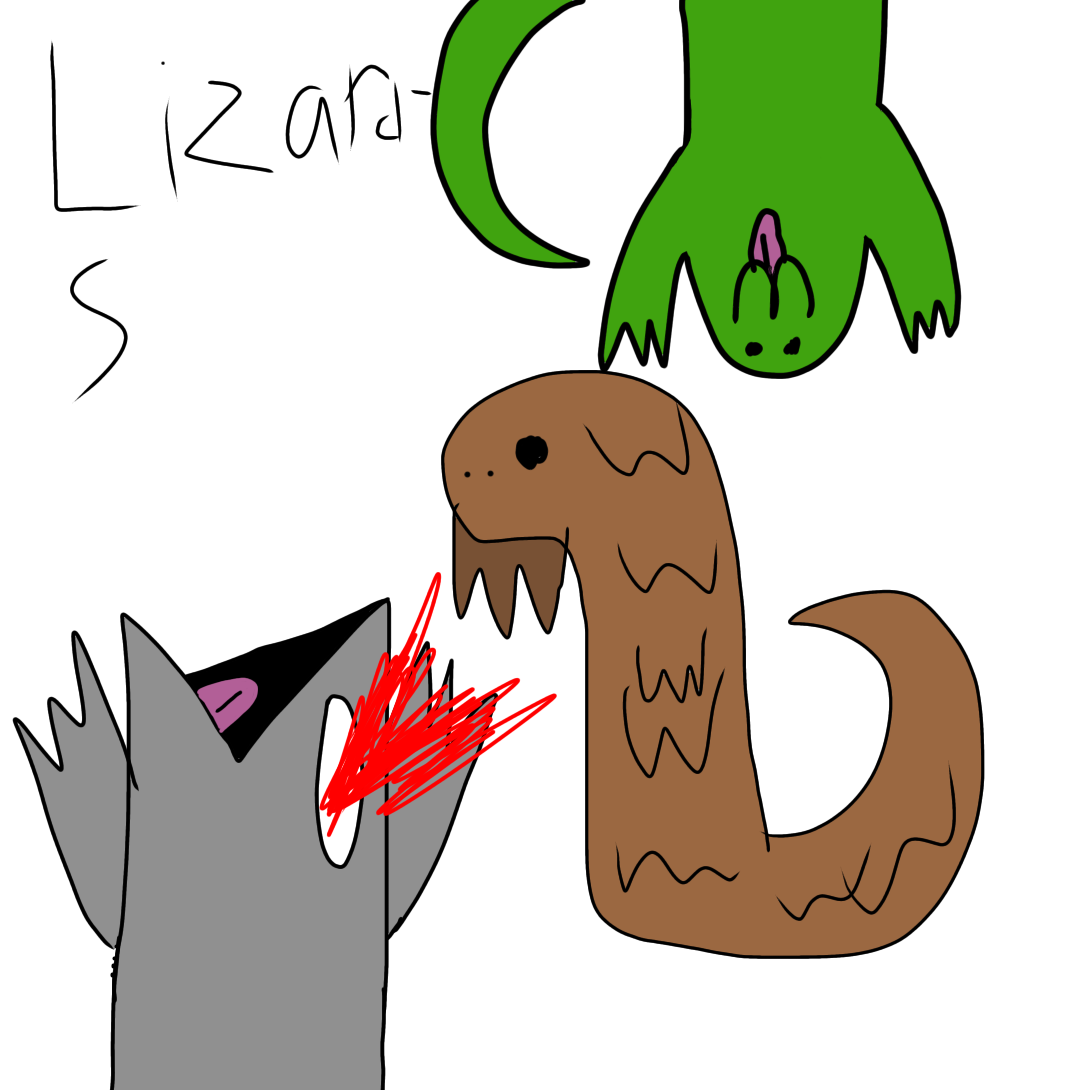 Meet the lizards! (And one snake) - 1 | Lizards