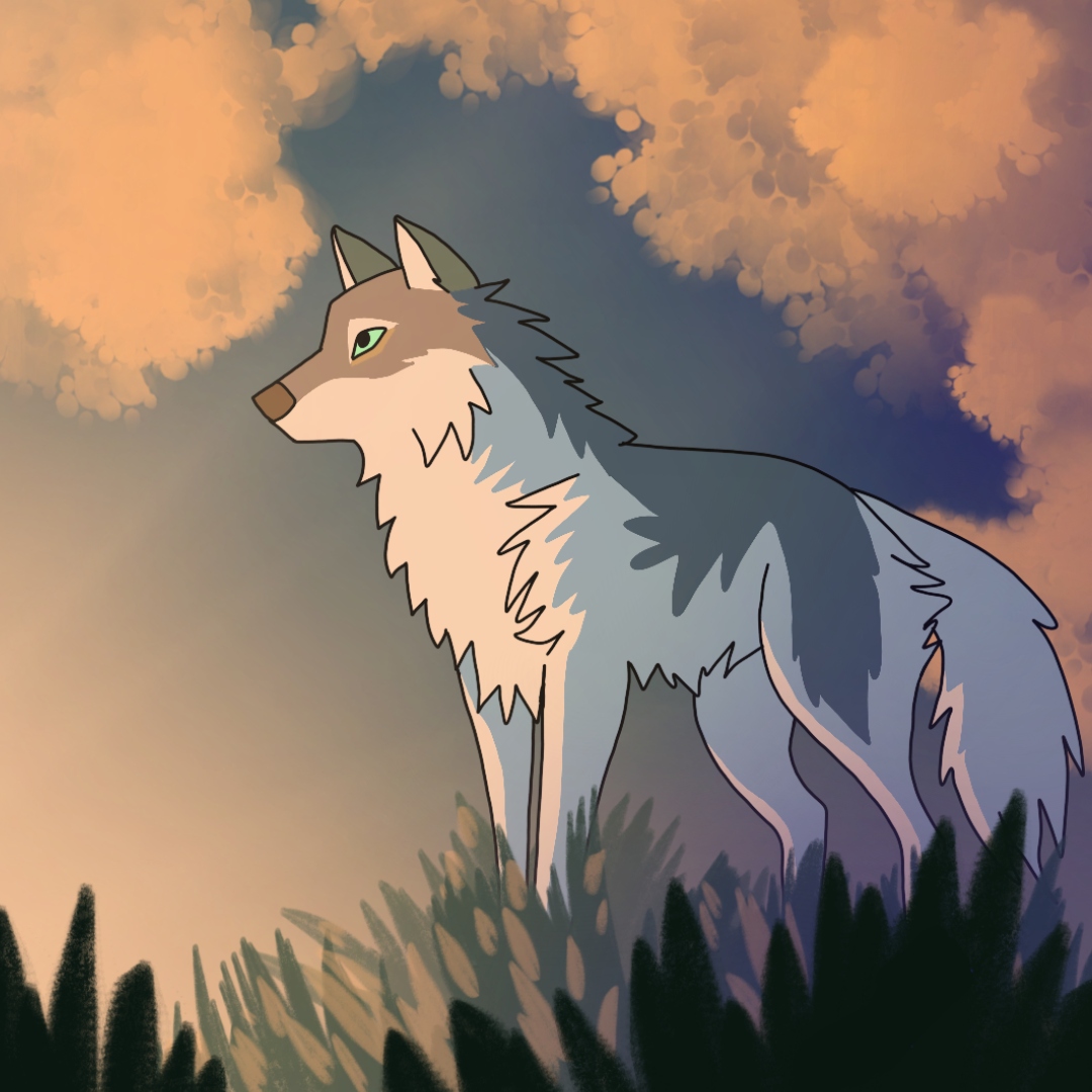 A Wolf Called Sunrise | WEBTOON