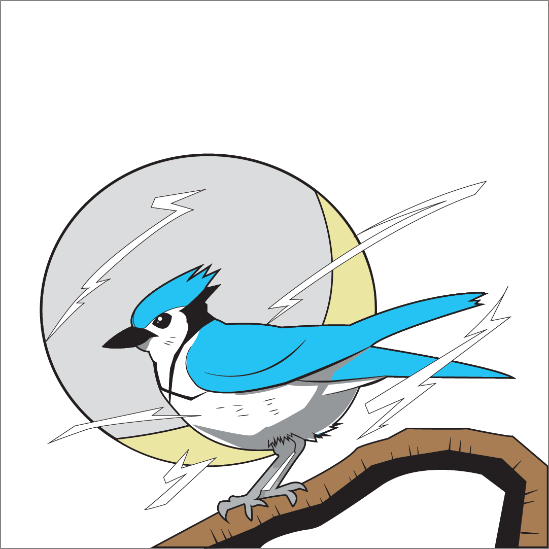 The Adventures of Jay | WEBTOON