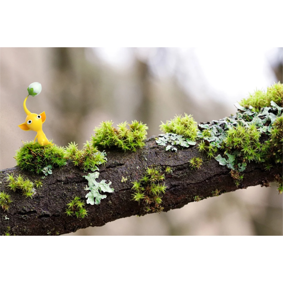 White Pikmin - 4 | Pikmin!