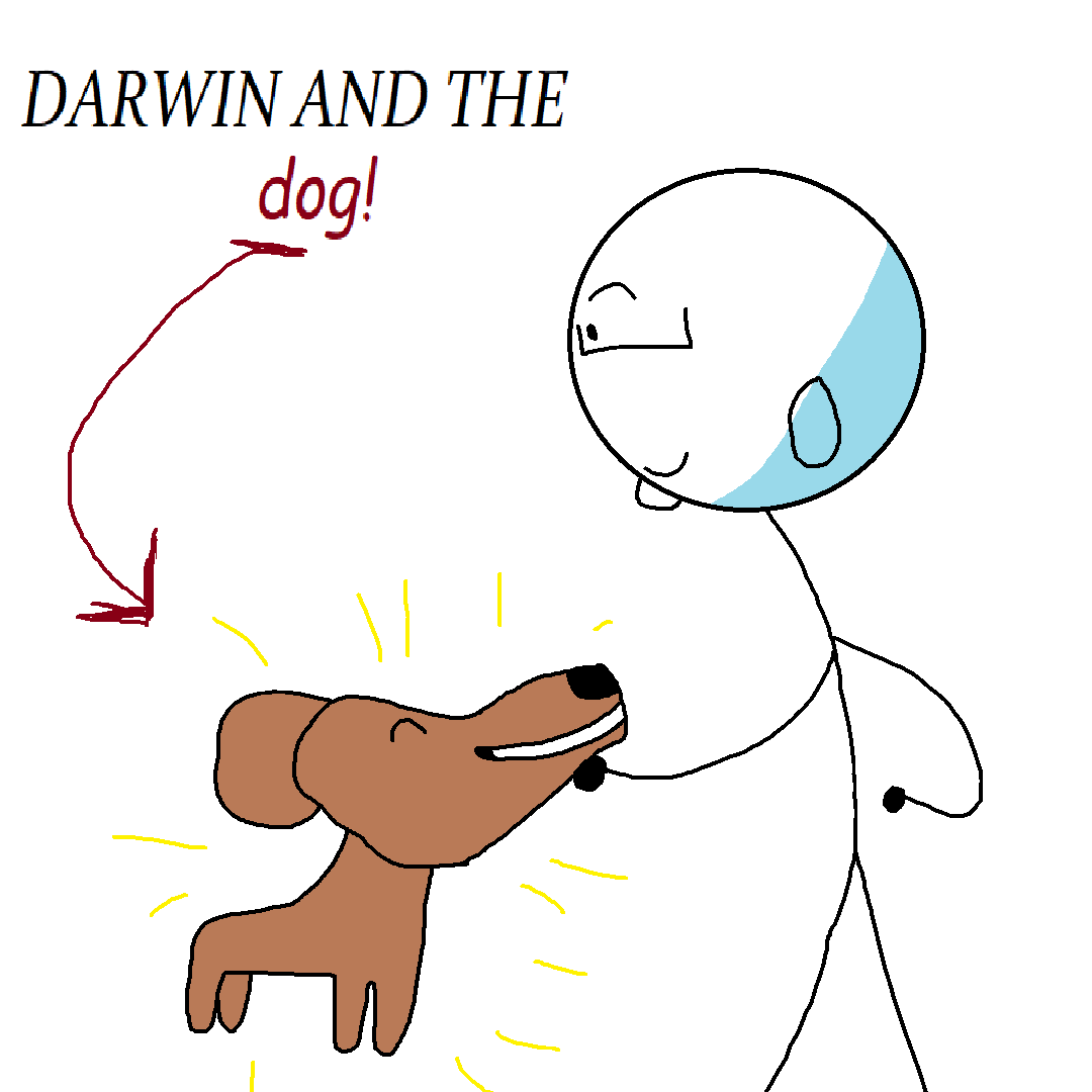 darwin and the dog | WEBTOON