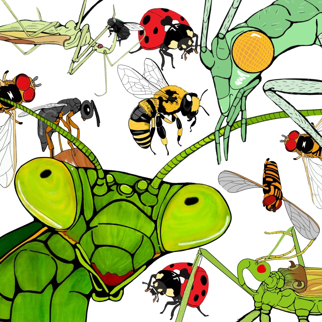 Beneficial Bugs! | WEBTOON