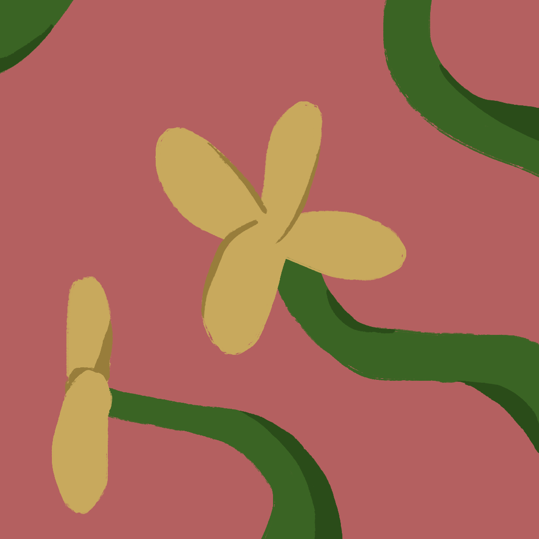 Stories with meaning. | WEBTOON