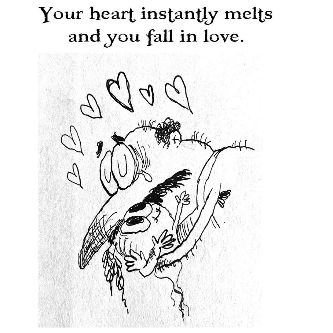 Radish Boy Chronicles | WEBTOON