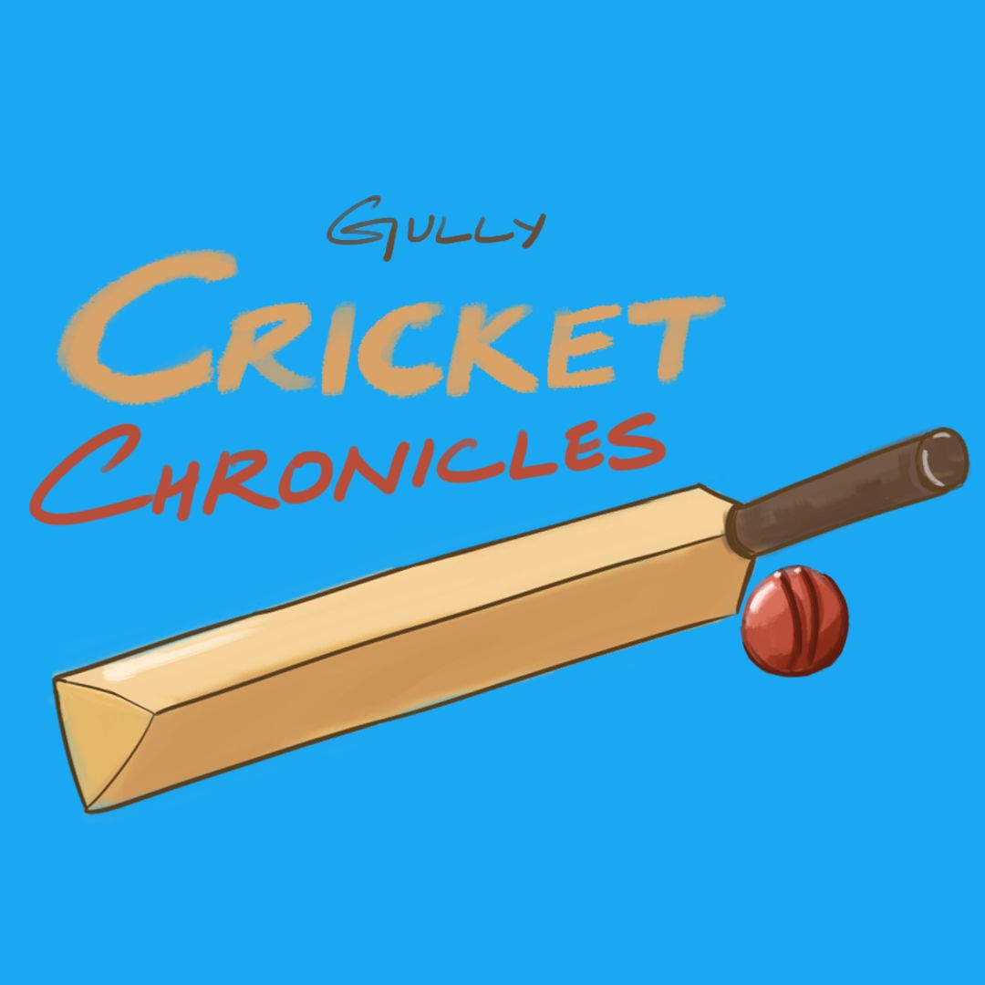 Gully Cricket Chronicles | WEBTOON