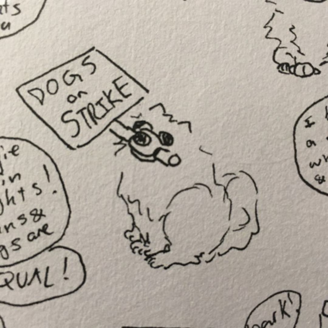 PAWS UNITED | WEBTOON