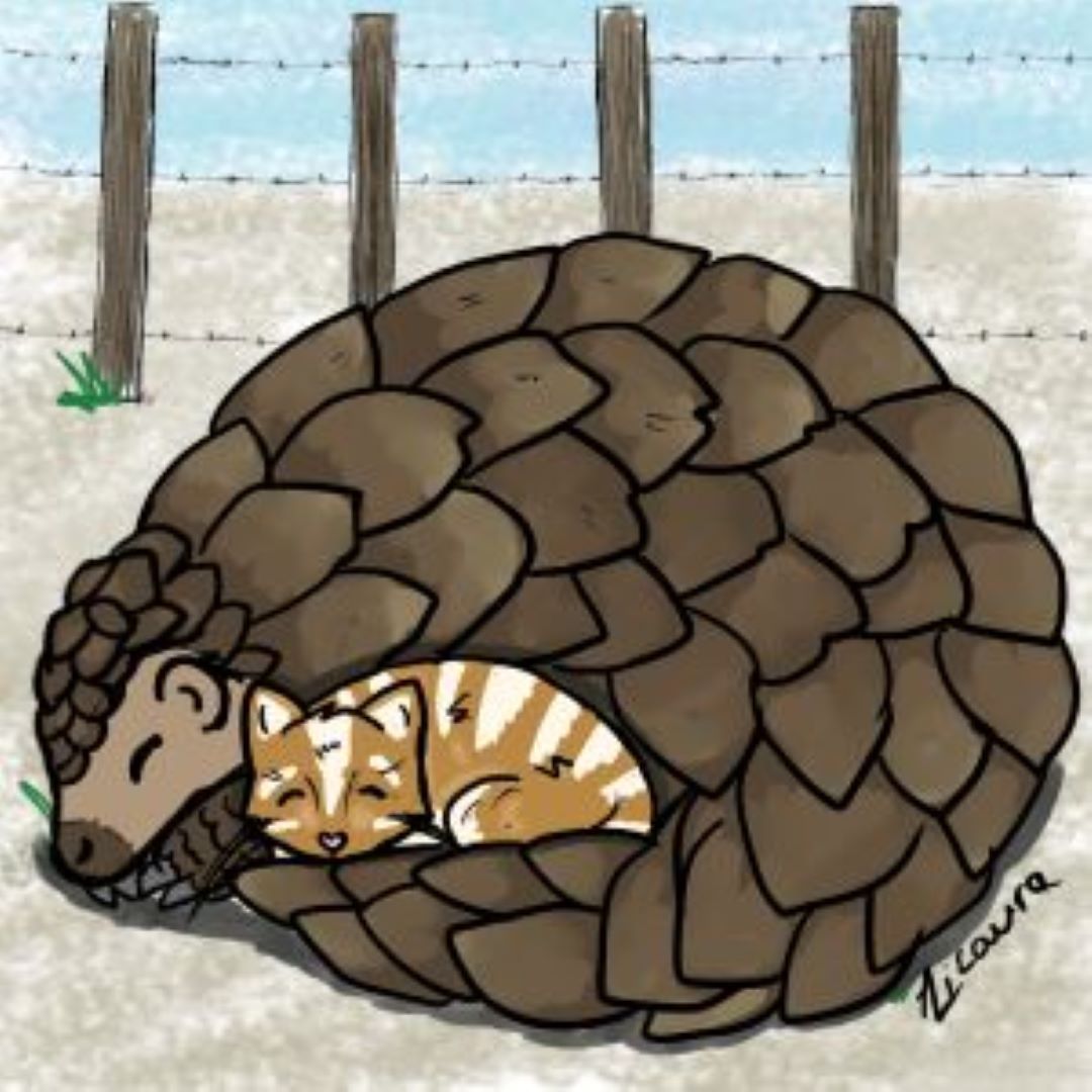 Penny and Button | WEBTOON