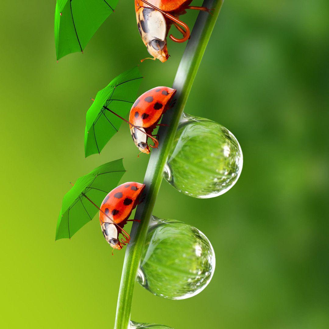 Peppermint Pretty | WEBTOON