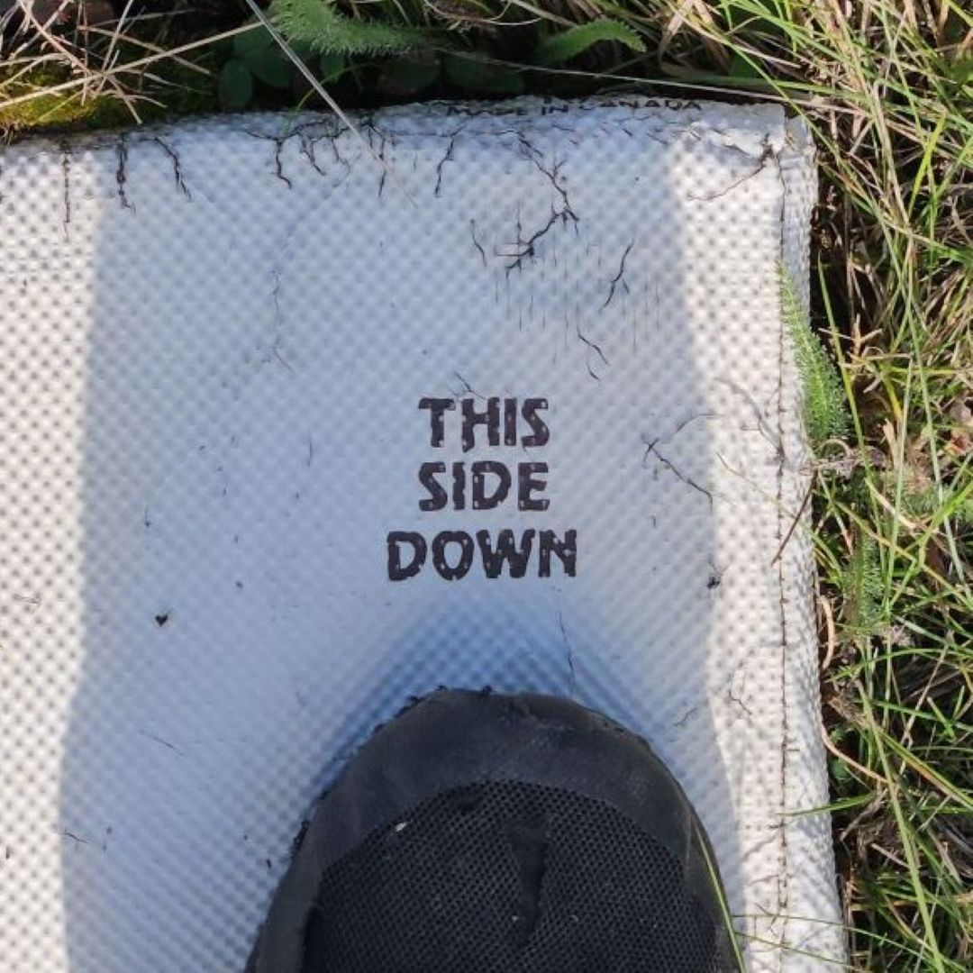 This Side Down | WEBTOON